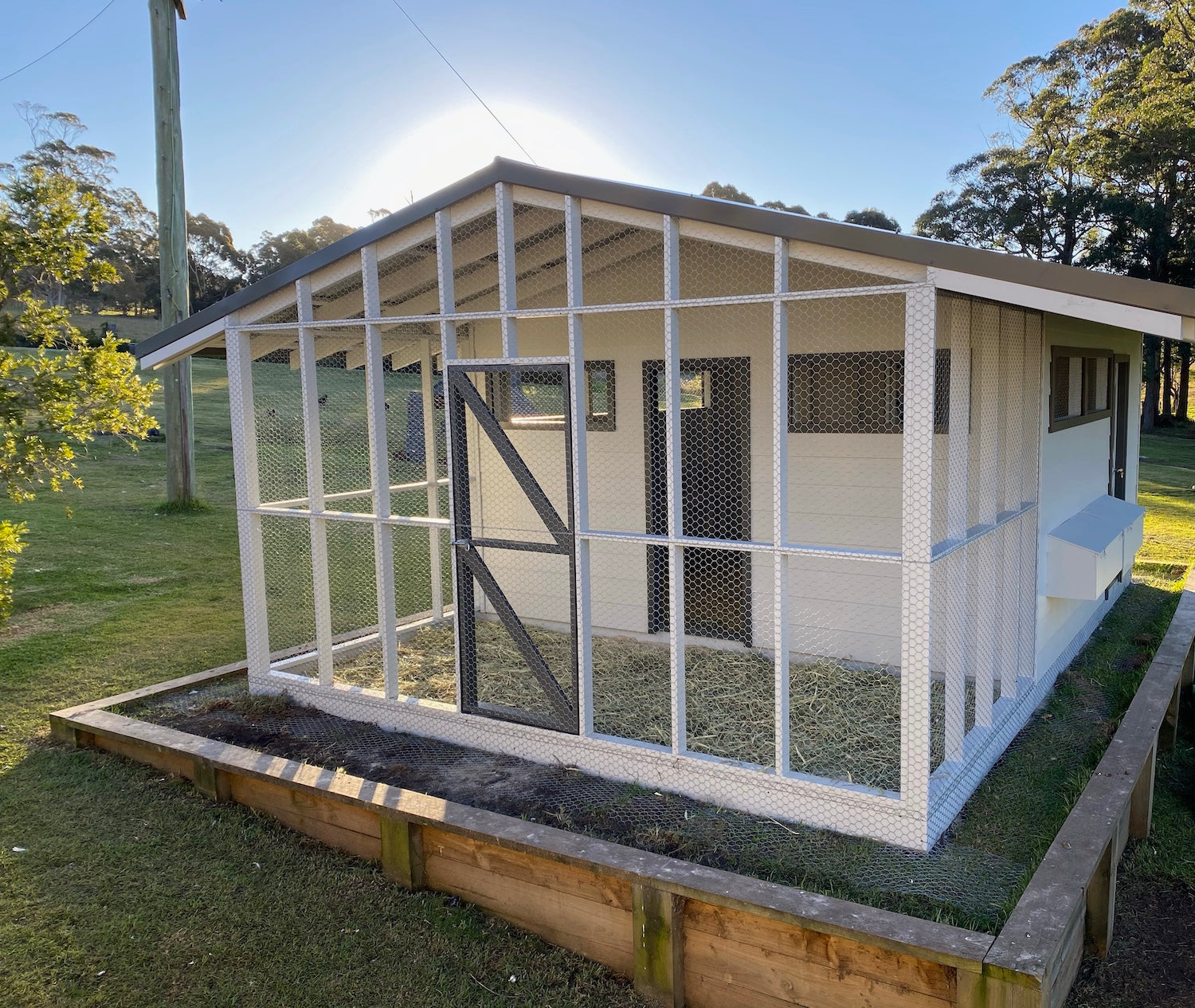 The Poodle and The Hen | Custom Built Chicken Coops, Runs & Pens