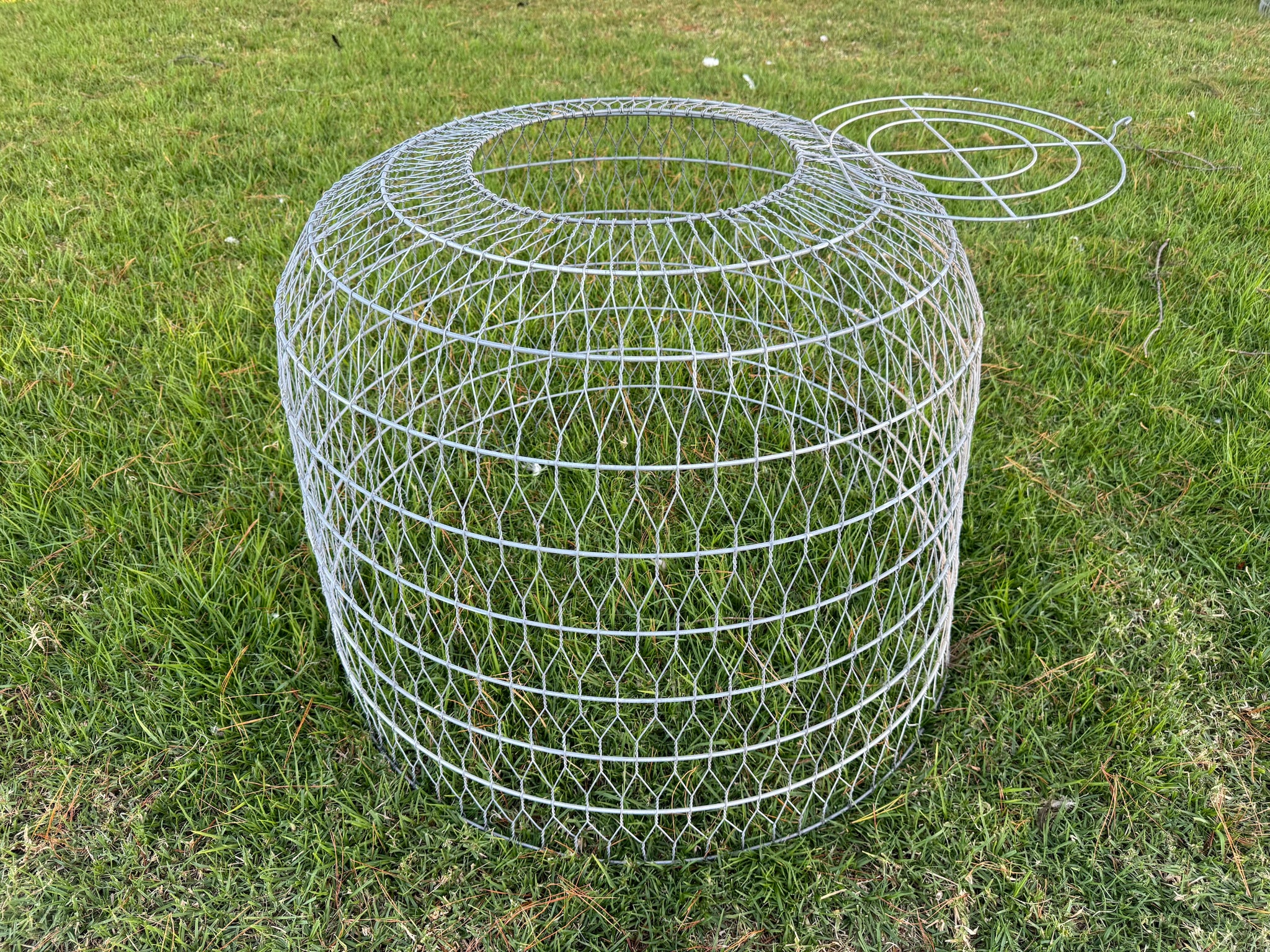 The Poodle and The Hen | Wire Dome Bird Cage